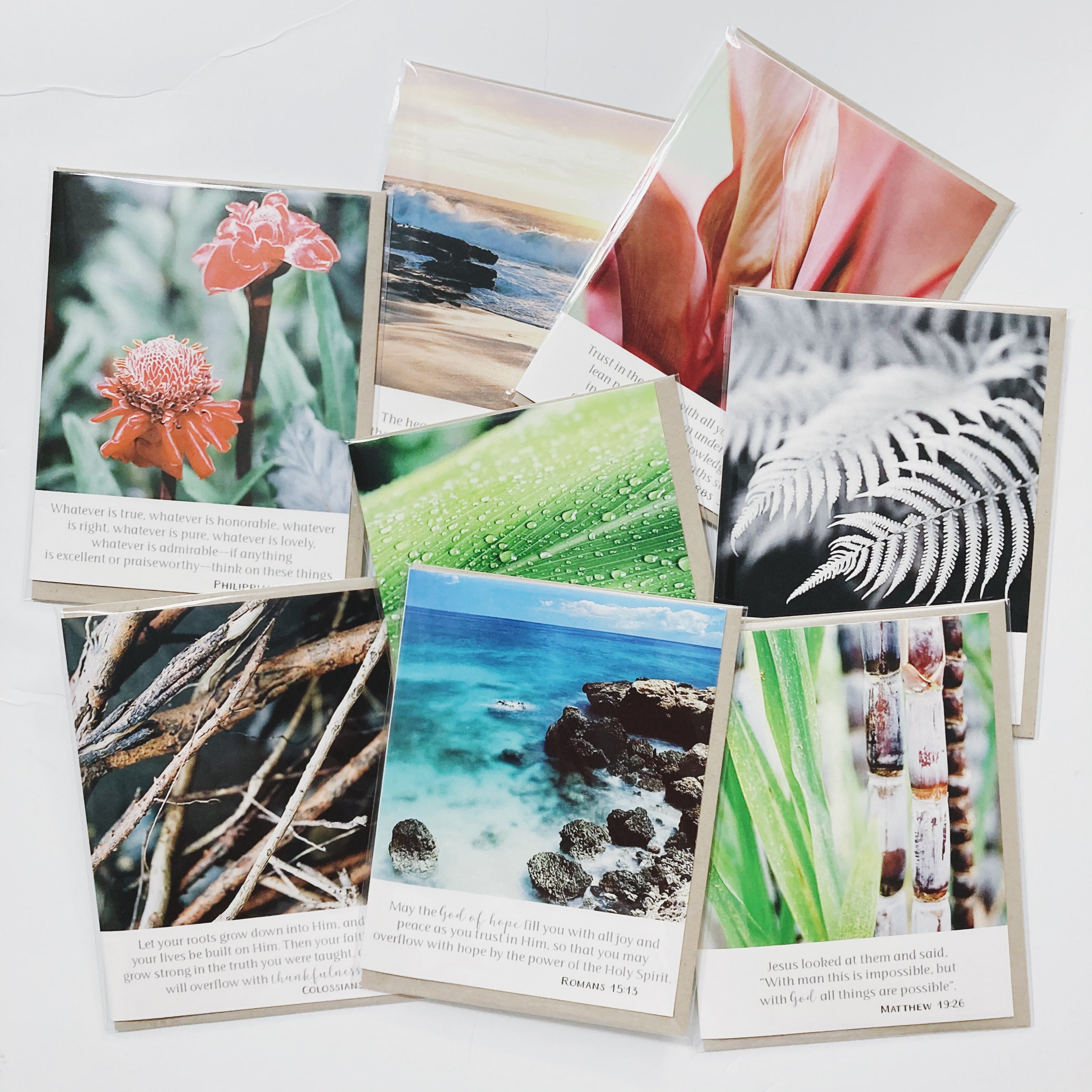 JOY WITHIN HAWAII – Joy Within Hawai'i