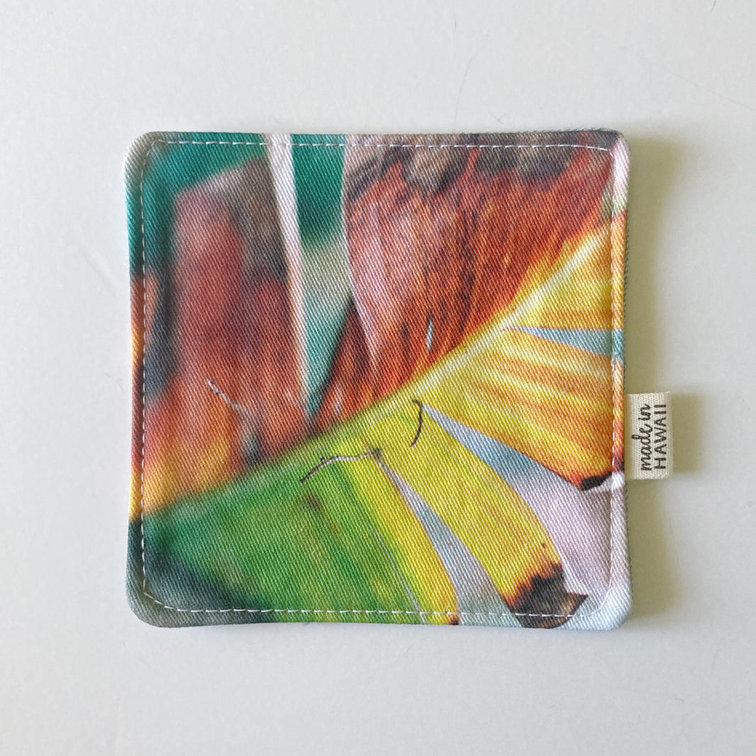 PHOTO COASTERS – Joy Within Hawai'i